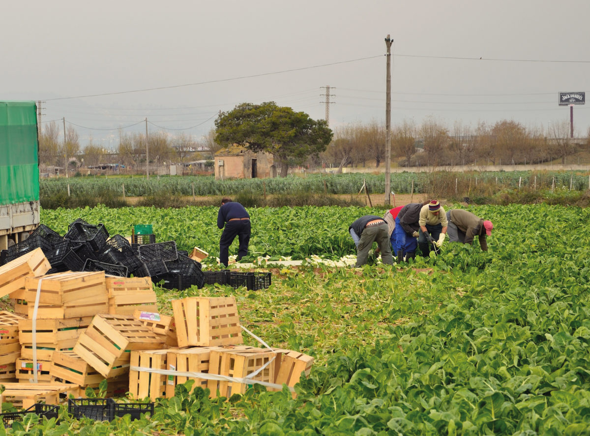 Exporta, explota, me expló!